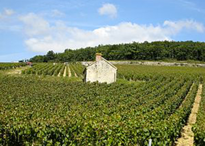 Les vignobles de Champagne et de Bourgogne inscrits au patrimoine de l ...
