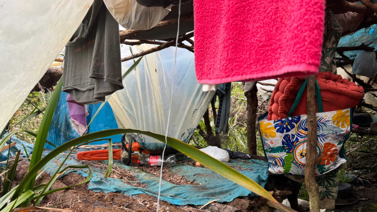 Braconnage : six camps démantelés en cœur de parc