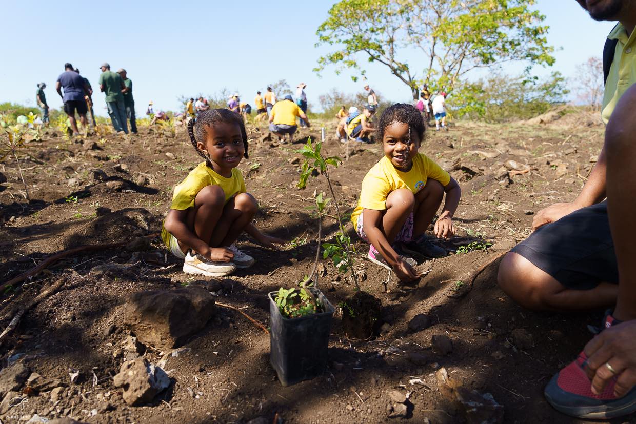 Plant'Action 1000 Pié D'Bwa : Les Associations de Saint-Leu Unies pour ...