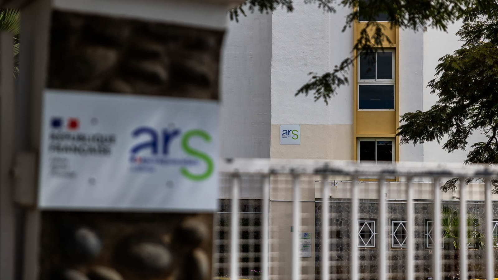 Dengue, leptospirose et chikungunya en hausse, faut-il craindre une ...