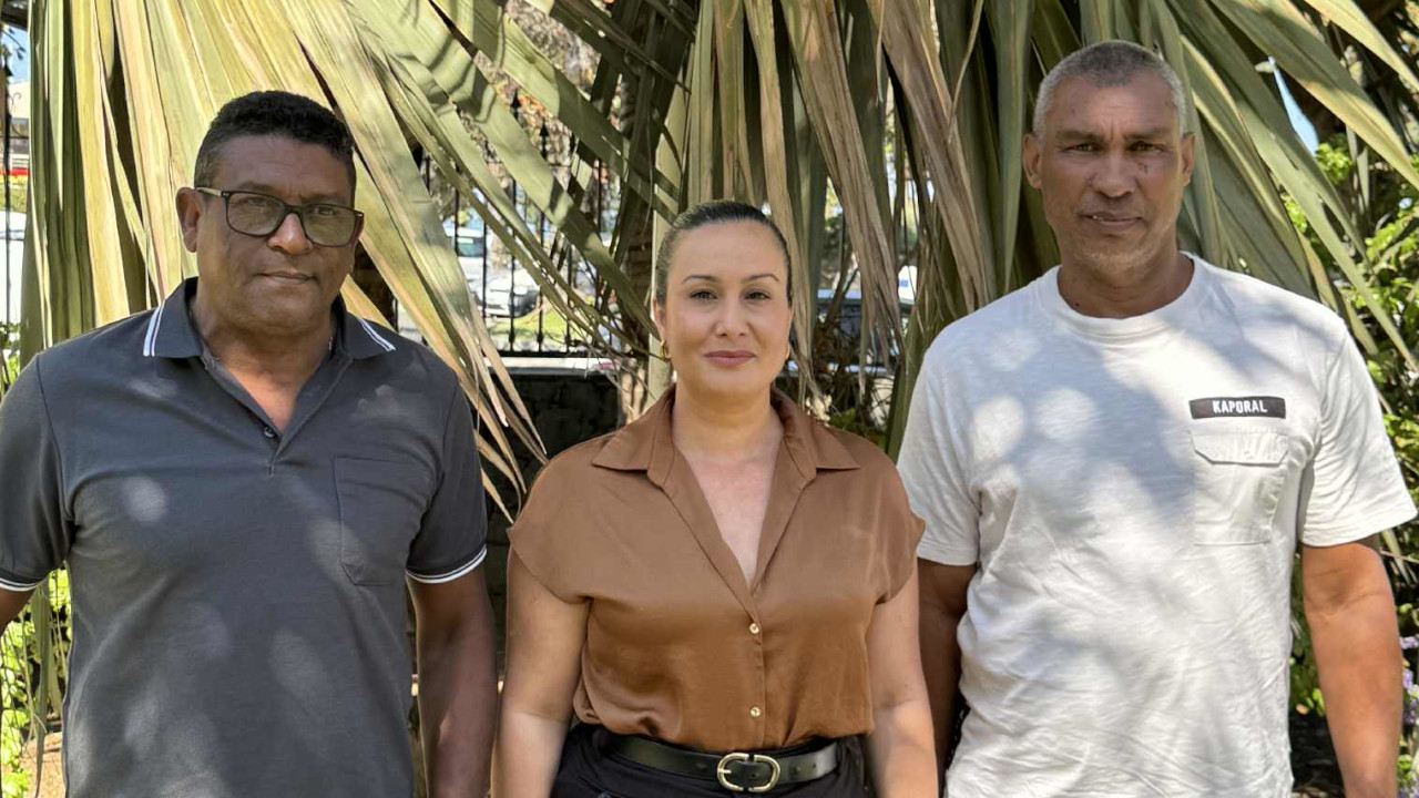 Saint-Pierre : Emeline K/Bidi dénonce des pressions sur des agents ...